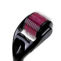 China Highly Recommended Derma Rolling System for Face Rejuvenation ZGTS 540 for sale