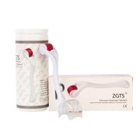 China Highly Recommended Derma Rolling System for Face Rejuvenation ZGTS 540 for sale