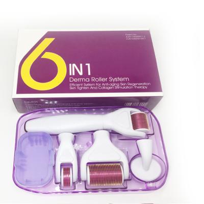 China Derma Rolling System and Needle Material Stainless Steel / Titanium 6 In 1 Derma Roller for sale