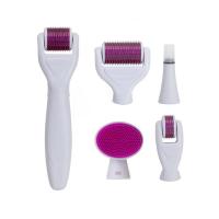 China Derma Rolling System and Needle Material Stainless Steel / Titanium 6 In 1 Derma Roller for sale