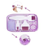China Stainless Steel/Titanium Dermaroller for Lips 4 in 1 Micro Needle Kit for sale