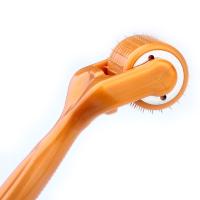 China Titanium Alloy Derma Roller for Scar Acne and Wrinkle Removal Your Ultimate Solution for sale