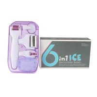 China 6 in 1 Derma Roller Kit with Ice Roller Skin Cooling Derma Care Facial Beauty NO Plugs Type for sale