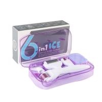 China 6 in 1 Derma Roller Kit with Ice Roller Skin Cooling Derma Care Facial Beauty NO Plugs Type for sale