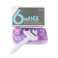 China 6 in 1 Derma Roller Kit with Ice Roller Skin Cooling Derma Care Facial Beauty NO Plugs Type for sale