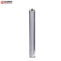 China BAXIT 750W 24V DC Solar Submersible Pump 2.3m3/h 80m Head Stainless Steel 304 for sale