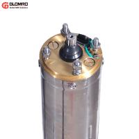 China BAXIT 750W 24V DC Solar Submersible Pump 2.3m3/h 80m Head Stainless Steel 304 for sale