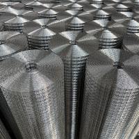 China Stainless Steel 304 316 Grade Welded Wire Mesh 12x12mm Hole Mesh 1/2