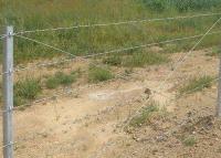 China Guard Against Theft Hot Dipped Galvanized Barbed Wire 2.0 - 3.5mm for sale