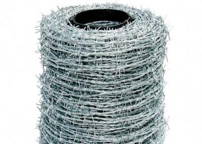 China Traditional Twisted Barbed Wire Barbs Light Duty High Tensile 5
