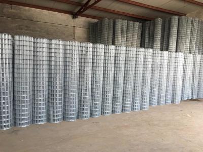 China Galvanized Welded Wire Mesh,Opening 1