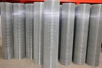 China Rust Resisting 2 X 3 Welded Steel Wire Mesh Dia 1.5mm-3.0mm For Plant Area for sale