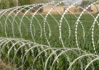 China Hot Dipped Galvanized Razor Fencing Wire Razor Wire Mesh BTO-10 BTO-22 BTO-60 for sale