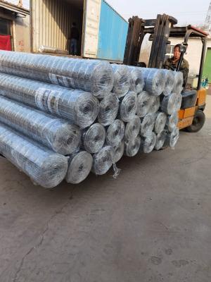 China 1.2mx30m Q195 Stee Hot Dipped Galvanized Wire Mesh  Long Hole Shape for sale