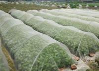 China 50X35 Plastic Wire Mesh 100g/M2  Anti Insect Net For Greenhouse for sale