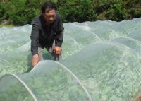 China 40x25mesh Plastic Wire Mesh 30-300m White Agricultural Greenhouse Insect Screen for sale