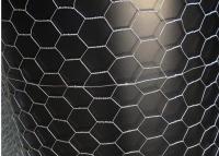 China dia 0.8mm Galvanized Hexagonal Wire Netting 6mm Opening chicken fencing net for sale