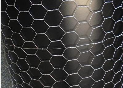 China dia 0.8mm Galvanized Hexagonal Wire Netting 6mm Opening chicken fencing net for sale