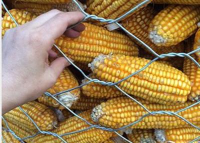 China 6x8cm 2.8mm Galvanized Gabion Hexagonal Wire Mesh For Corn And Garden for sale