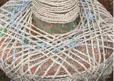 China 20x20mm 2.4mm Hot Dipped Galvanized Hexagonal Wire Mesh For Tree Root Protection for sale