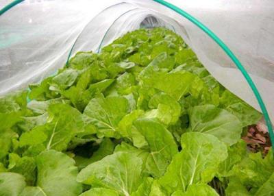 China 50X35 Plastic Wire Mesh 100g/M2  Anti Insect Net For Greenhouse for sale