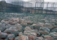 China 8x10cm 3.2mm Steel Hexagonal Wire Netting Gabion Box Slope Protection Wire Mesh for sale