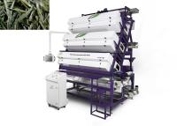 China Intelligent LED Lights Alarm Tea Color Sorter Machine No Human Required for sale