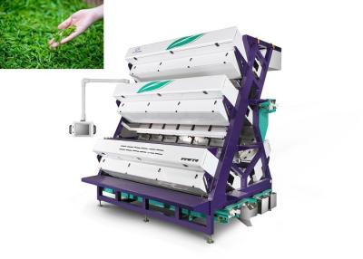 China AI Variable Light Control Technology Tea Color Sorter With High Sorting Accuracy for sale