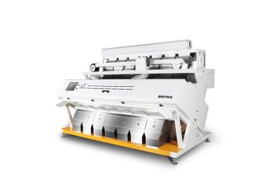 China Sesame / Melon Seeds Color Sorter Machine Fast Detection High Accuracy for sale