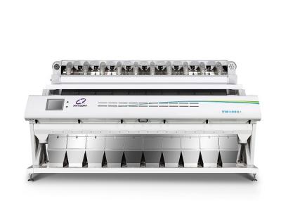 China Big Capacity Coffee Bean Color Sorter Automatic Grading Machine High Accurate for sale