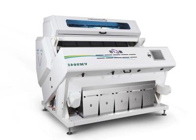 China Intelligent Optical Pea Color Sorter , Infrared Cloud Lentil Sorting Nachinery for sale