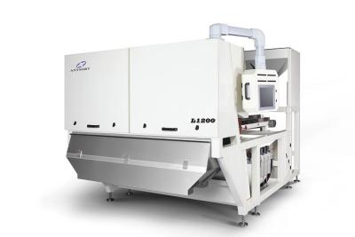 China Super Speed Agriculture Sorting Machine For Grading Apricot Kernel Nuts for sale