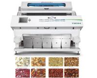China Intelligent Color Sorting Machine Large Capacity For Grading Dried Onion for sale