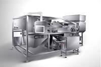 China High Accurate Color Sorter Machine For Grading Salt / Particles Salts for sale
