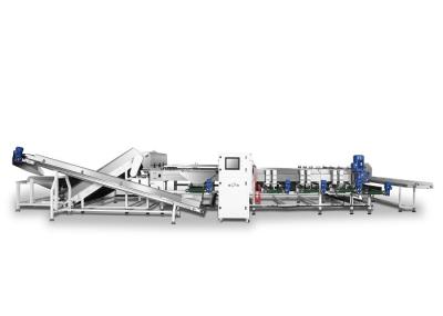China High Accuracy Color Sorting Machine For Grading Red Date 380V/50Hz for sale