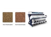 China 8 Chute Parched Millet Parboiled Rice Color Sorter for sale