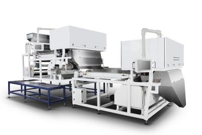 China Cashew Nut Color Sorter for sale