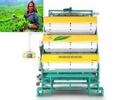 China Automatic 1250kg/H Granule Optical Infrared Sorting Machine for sale
