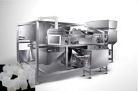 China Intelligent Dynamic Realtime Analysis anysort  Belt Color Sorter for sale