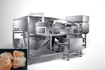 China CE 0.5T/H Uneven Particles Salts Conveyor Color Sorter Machine for sale