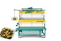 China InGaAs Hawk-Eye  900kg/H Asparagusvegetable Grading Machine for sale