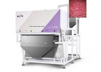 China 3.3kw 3D Intelligent Nuts Sorting Machine Automatic Dust Collection for sale
