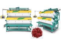 China ISO9001 900kg/H Carryover Dried Garlic Color Sorter Machine for sale