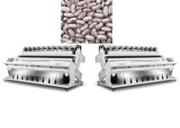 China 5.0T/H U Shaped Chutes Chickpea Wheal Grain Color Sorter for sale