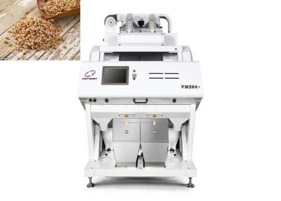 China Low Air Consumption Wheat  Tea Sorting Machine With Cloud Processing  System for sale