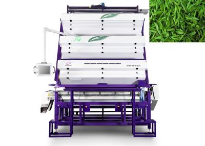 China One Button Analysis Tea Color Sorter Remove Impurities  With Hawk-Eye Camera for sale