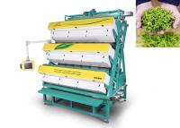 China AI Intelligent Valve Tea Color Sorter Machine With Hawk-Eye Camera for sale