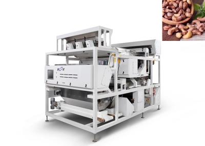 China Intelligent Visualization Interaction Nut Color Sorter With Hawk Eye Camera for sale