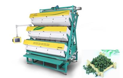 China Humanized Tea Color Sorter AI Variable Light Control Technology for sale