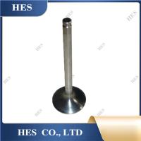 China 61560050041 0.25KG Truck Exhaust Valve M3000 Shacman Parts for sale